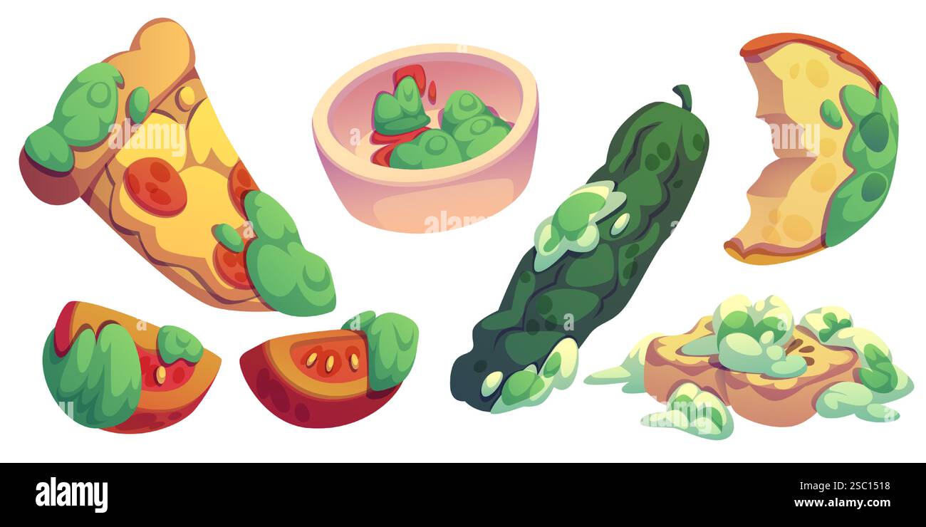 Rotten food collection with moldy pizza slice, spoiled tomato halves ...