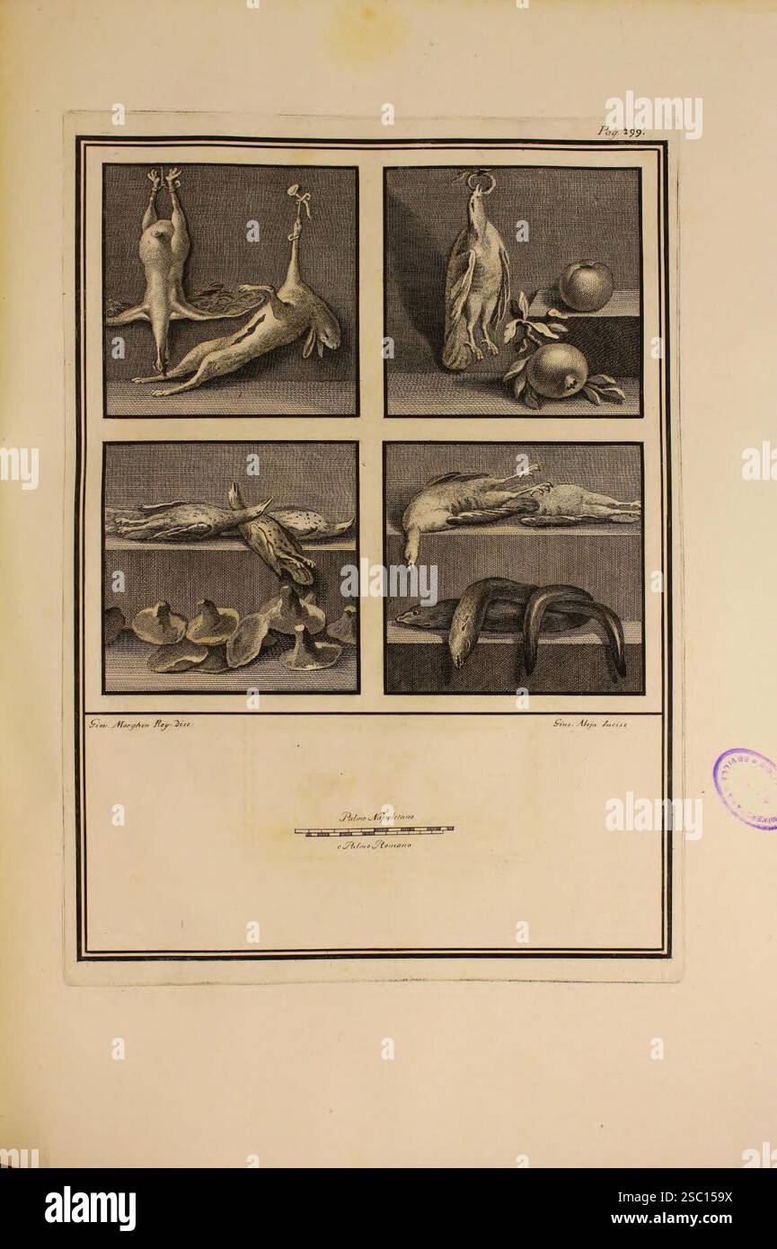 House of the Stags Herculaneum Oecus 16 on west side of terrace, 4 ...