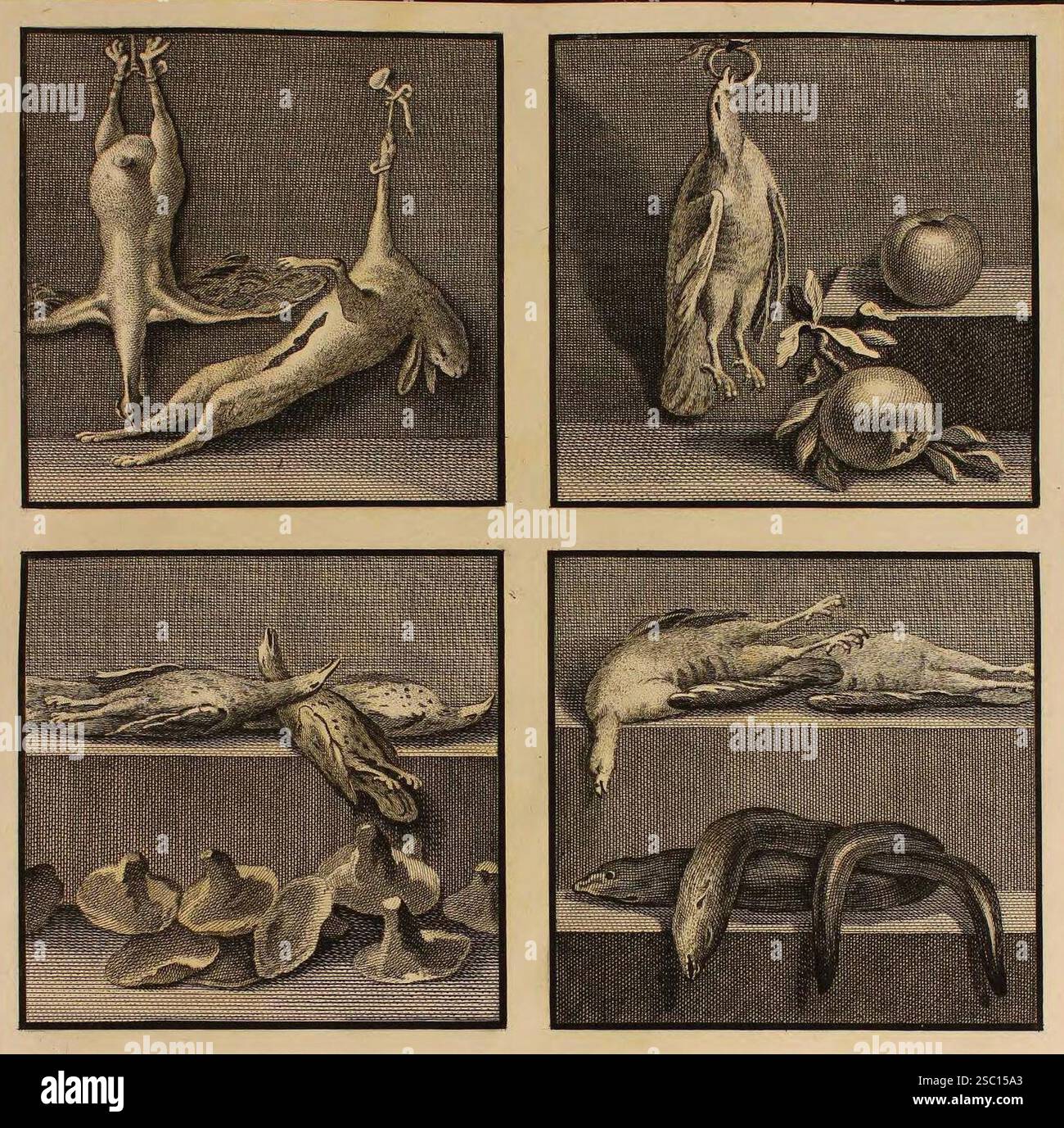 House of the Stags Herculaneum Oecus 16 on west side of terrace, 4 ...