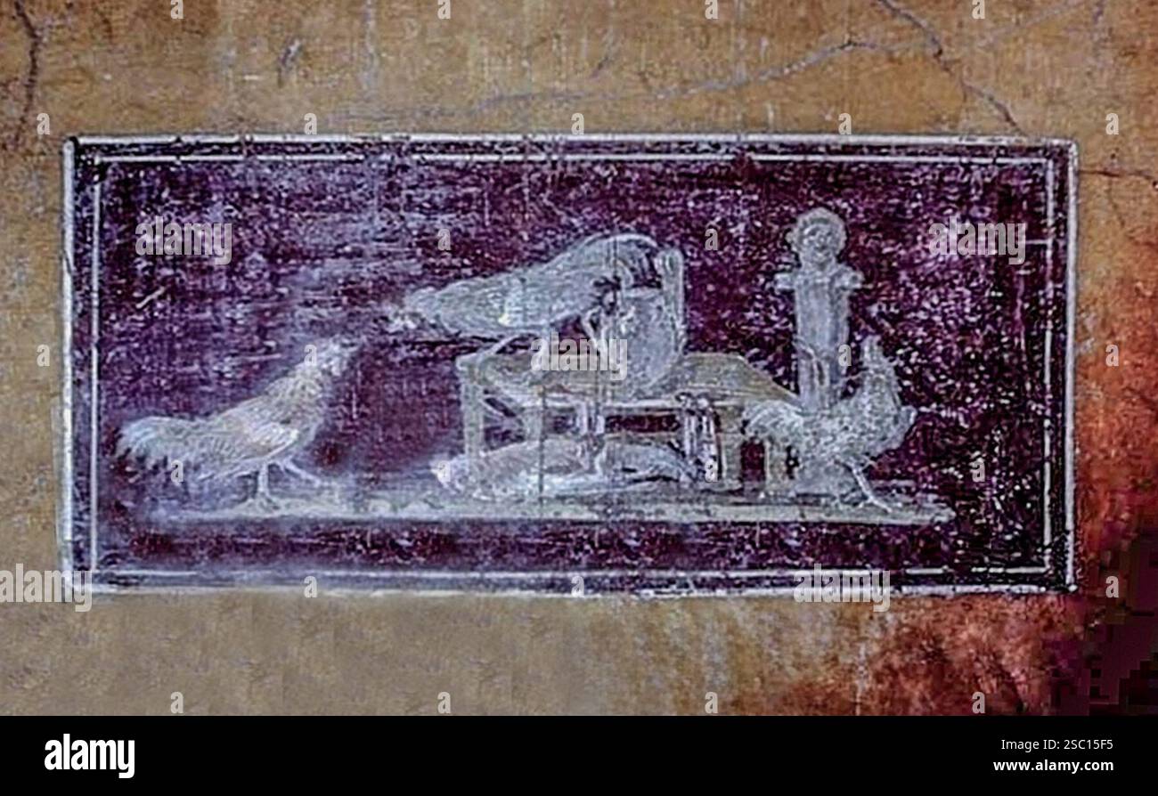 House of the Vettii VI 15,1 Pompeii 1966 Detail of painting with cocks ...