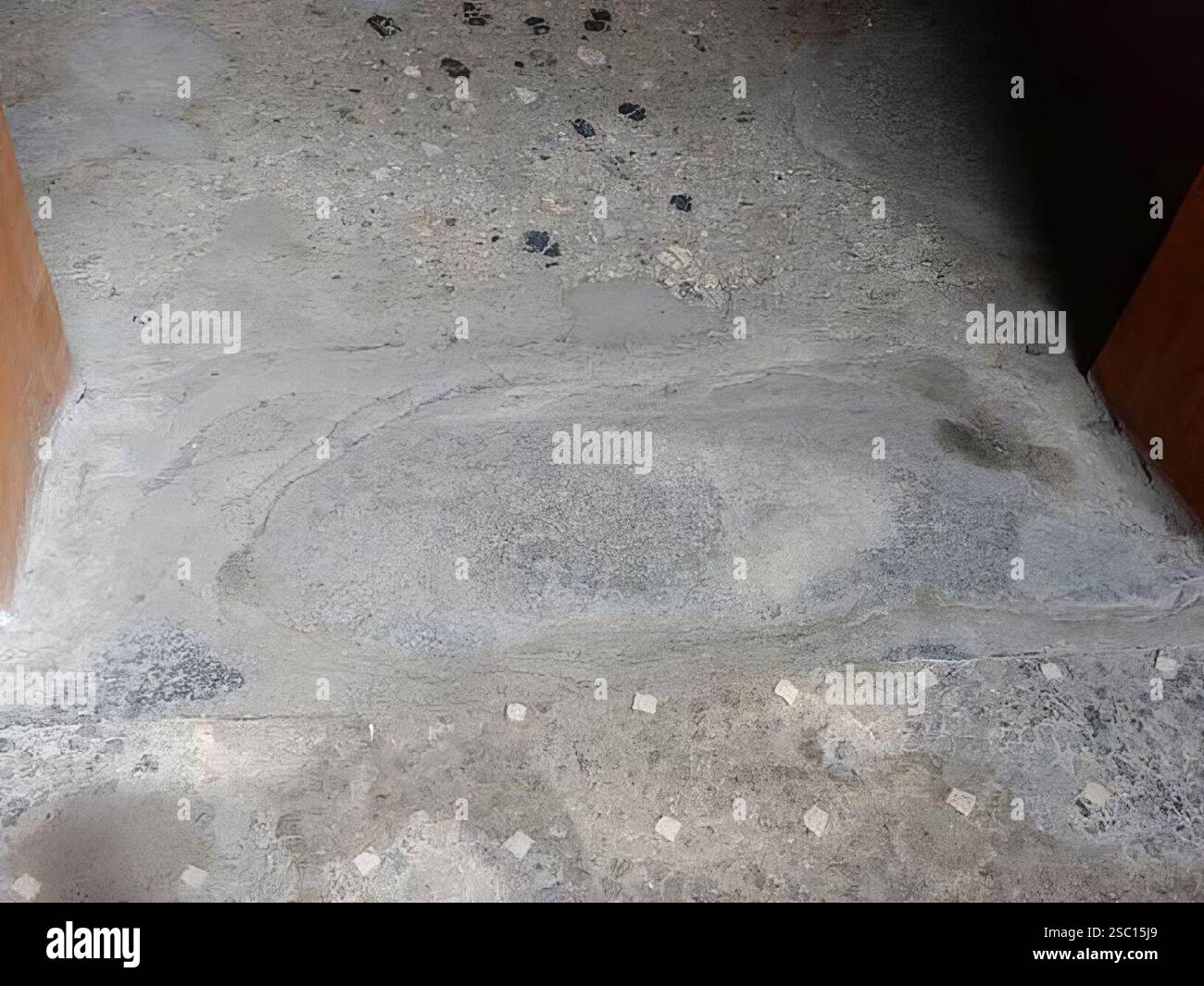 House of the Vettii VI 15,1 Pompeii 2017 Cubiculum-bedroom (g) (Mau ...