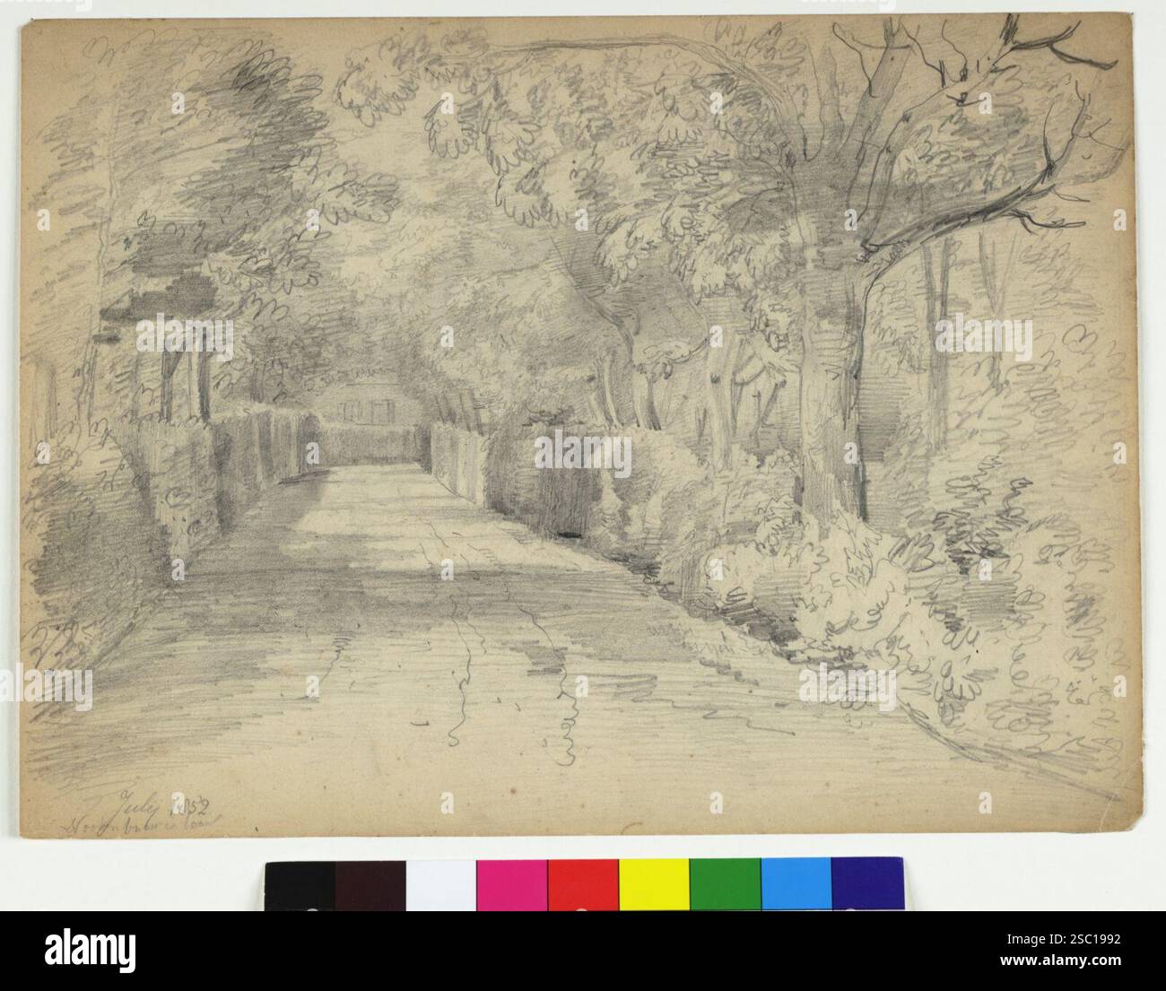 Notebomenlaan hi-res stock photography and images - Alamy