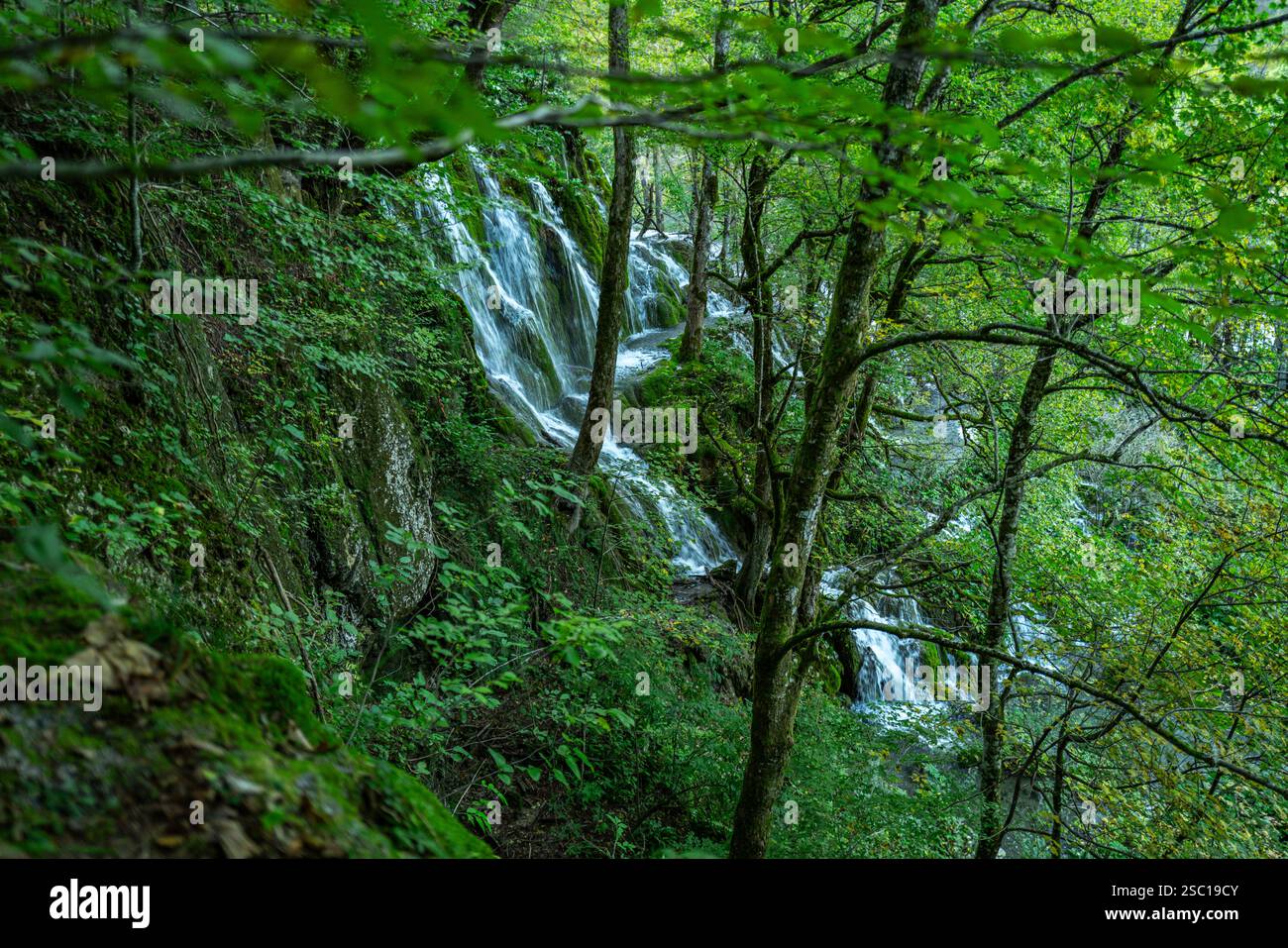 Waterfalls in the forest flowing into lakes. Tourists visit famous ...