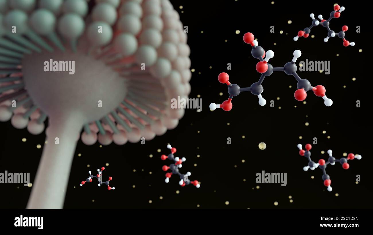 A 3d rendering of Aspergillus niger and scattered molecule of citric ...