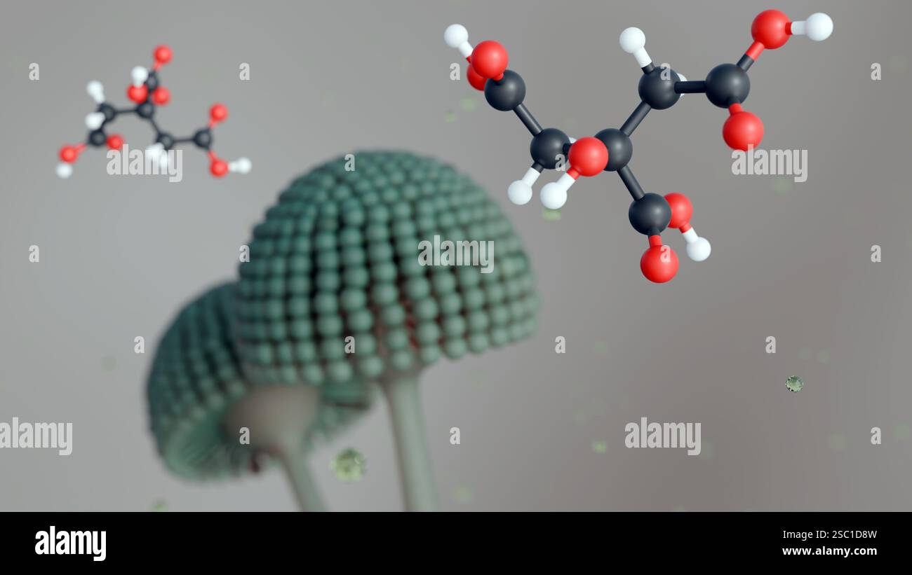 A 3d rendering of Aspergillus niger and scattered molecule of citric ...