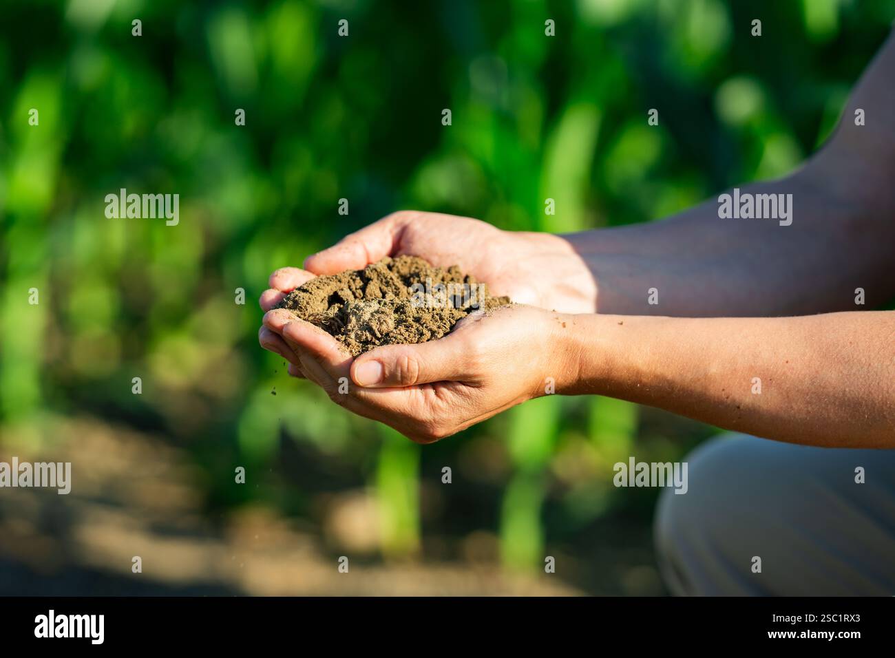 Closeup of Soil in Farmers hand. Soil testing before planting. Healthy ...