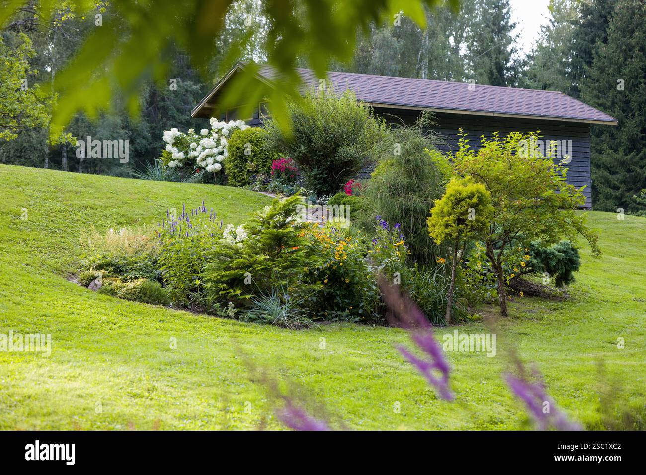 Variety ornamental trees shrubs hi-res stock photography and images - Alamy