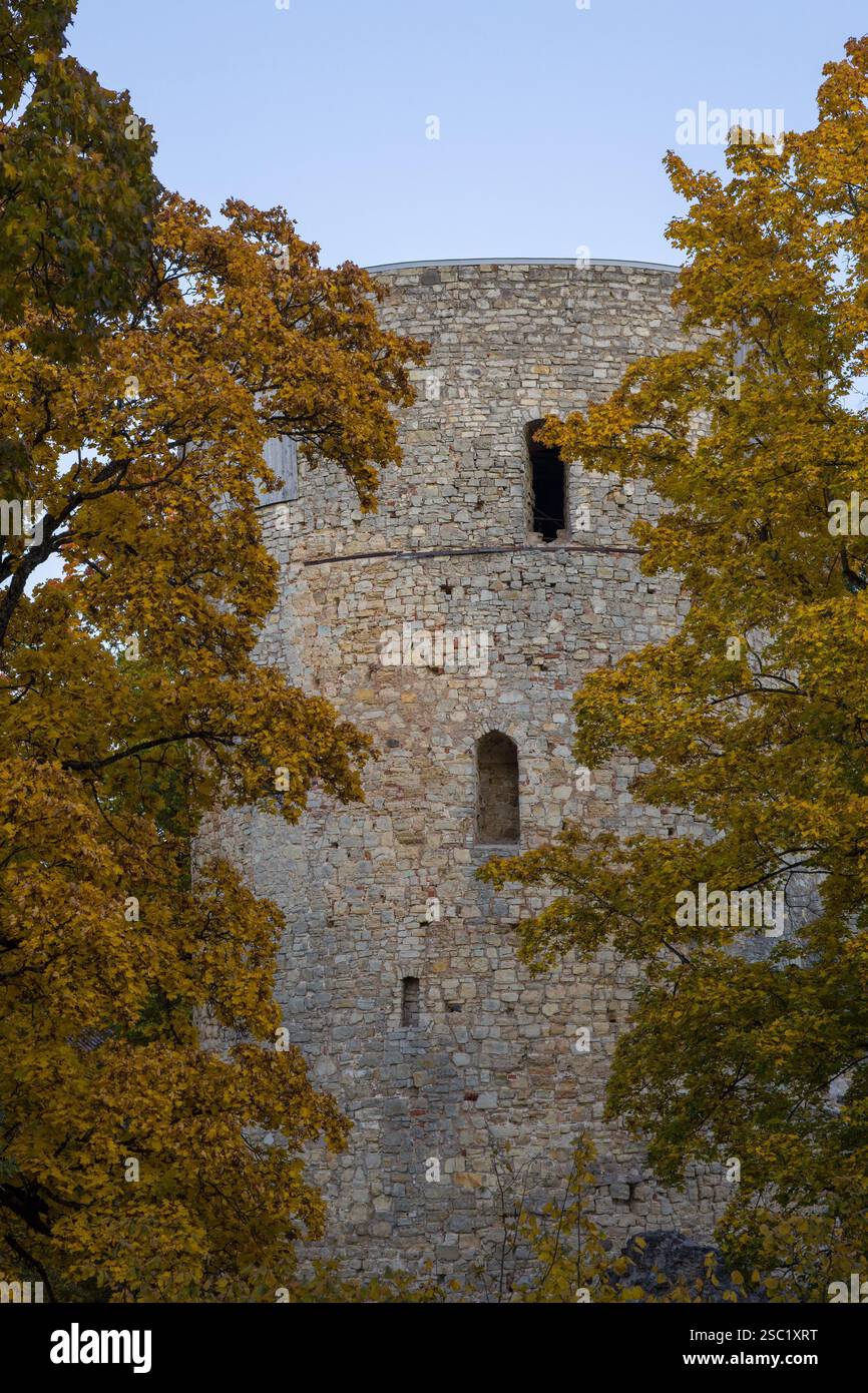 Medieval tower in Cesis, Latvia. Historic stone architecture with ...