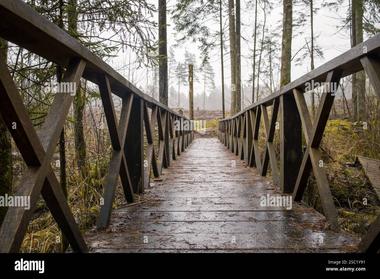 Low angle perspective emphasizing hi-res stock photography and images ...