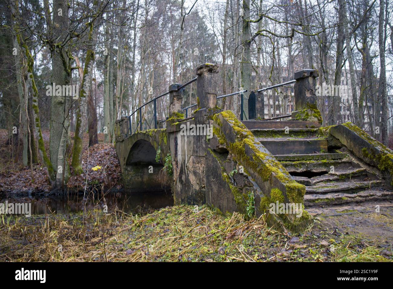 Exterior of the Baldone Sanatorium, a historic building with classical ...