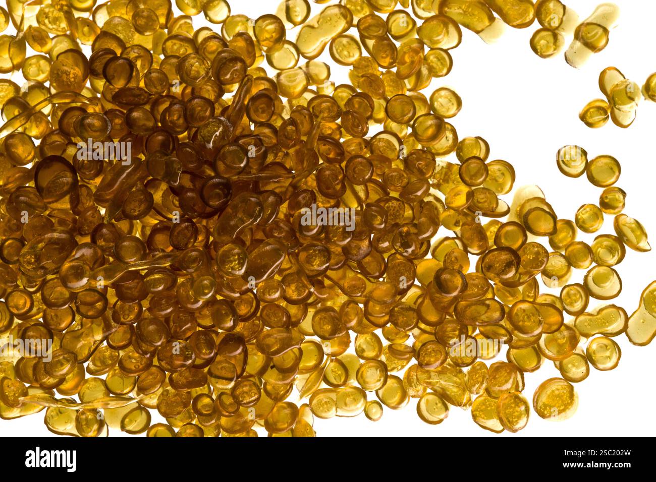 Bone glue pearls, a traditional and reversible adhesive used in ...