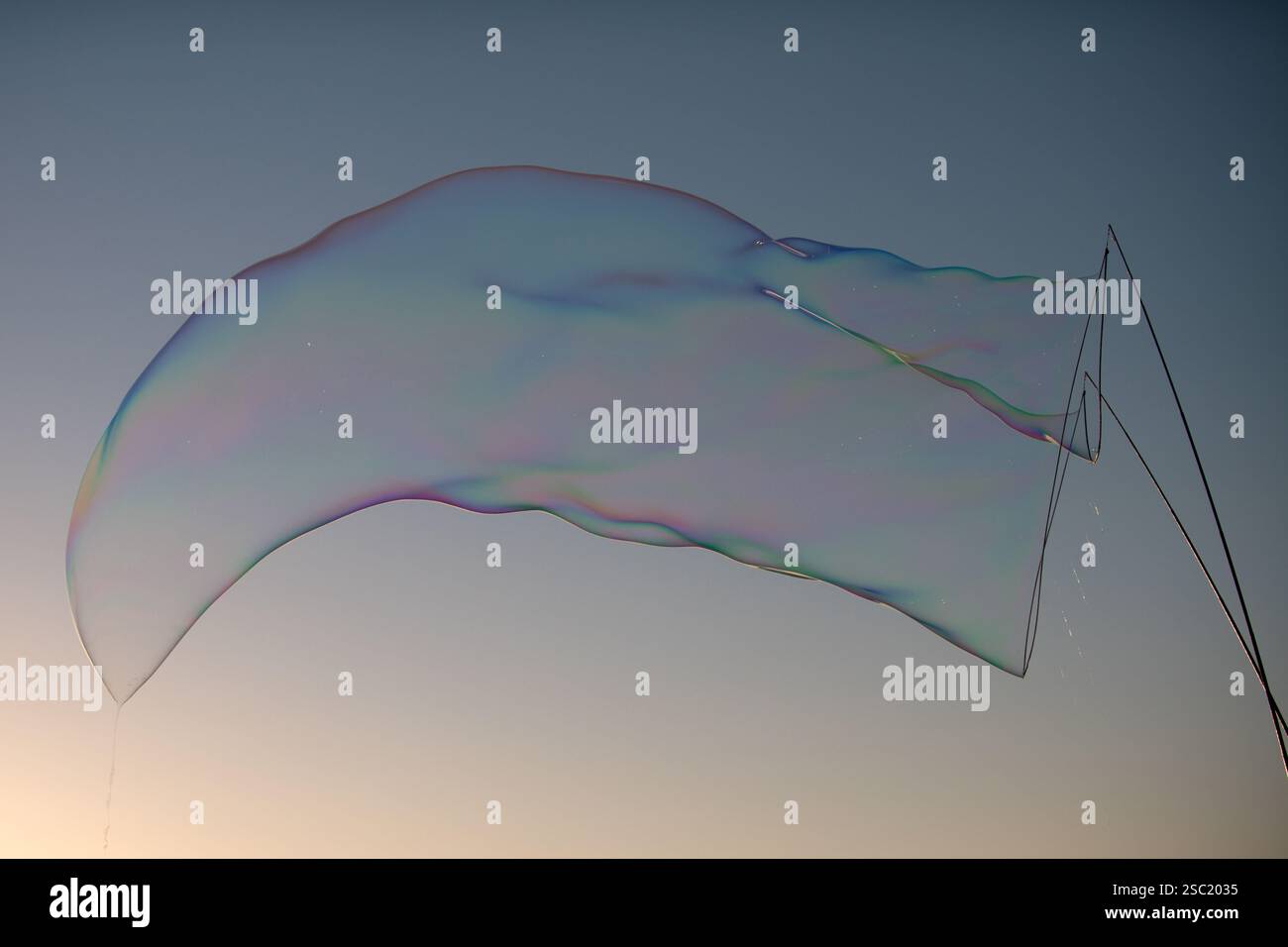 Flying soap bubbles on sky blue background Stock Photo - Alamy
