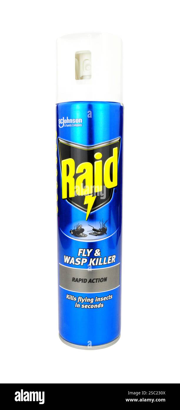 Raid rapid action fly and wasp killer insecticide aerosol spray can ...