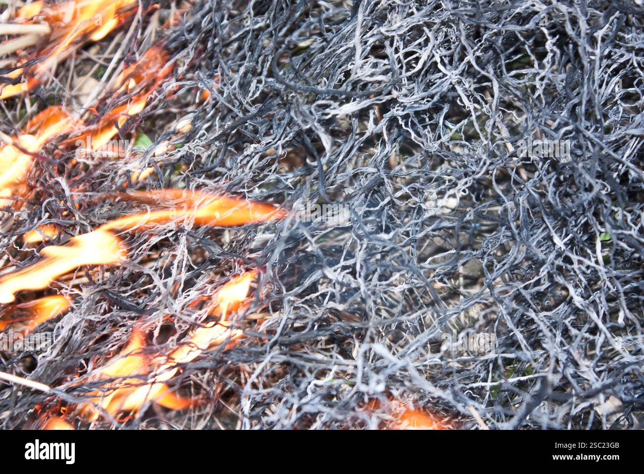 Hot ash hi-res stock photography and images - Alamy