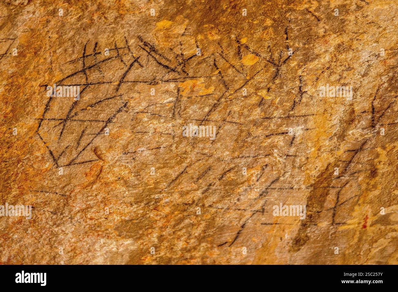 Cave paintings from pre-Roman times, Cova Des Vi. Cap Nuno. Ses ...