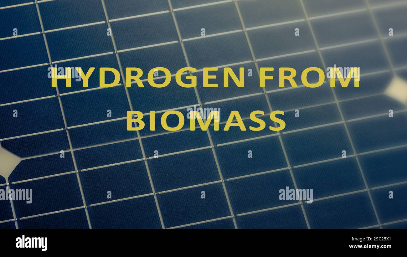 Hydrogen from Biomass Produces hydrogen via gasification of biomass or ...
