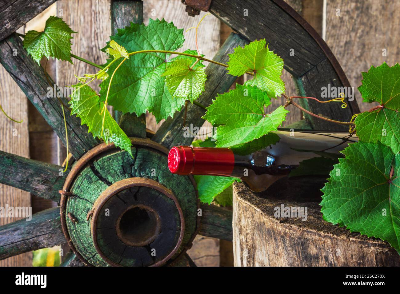 A bottle of wine on the background of the vine in a vintage entourage ...