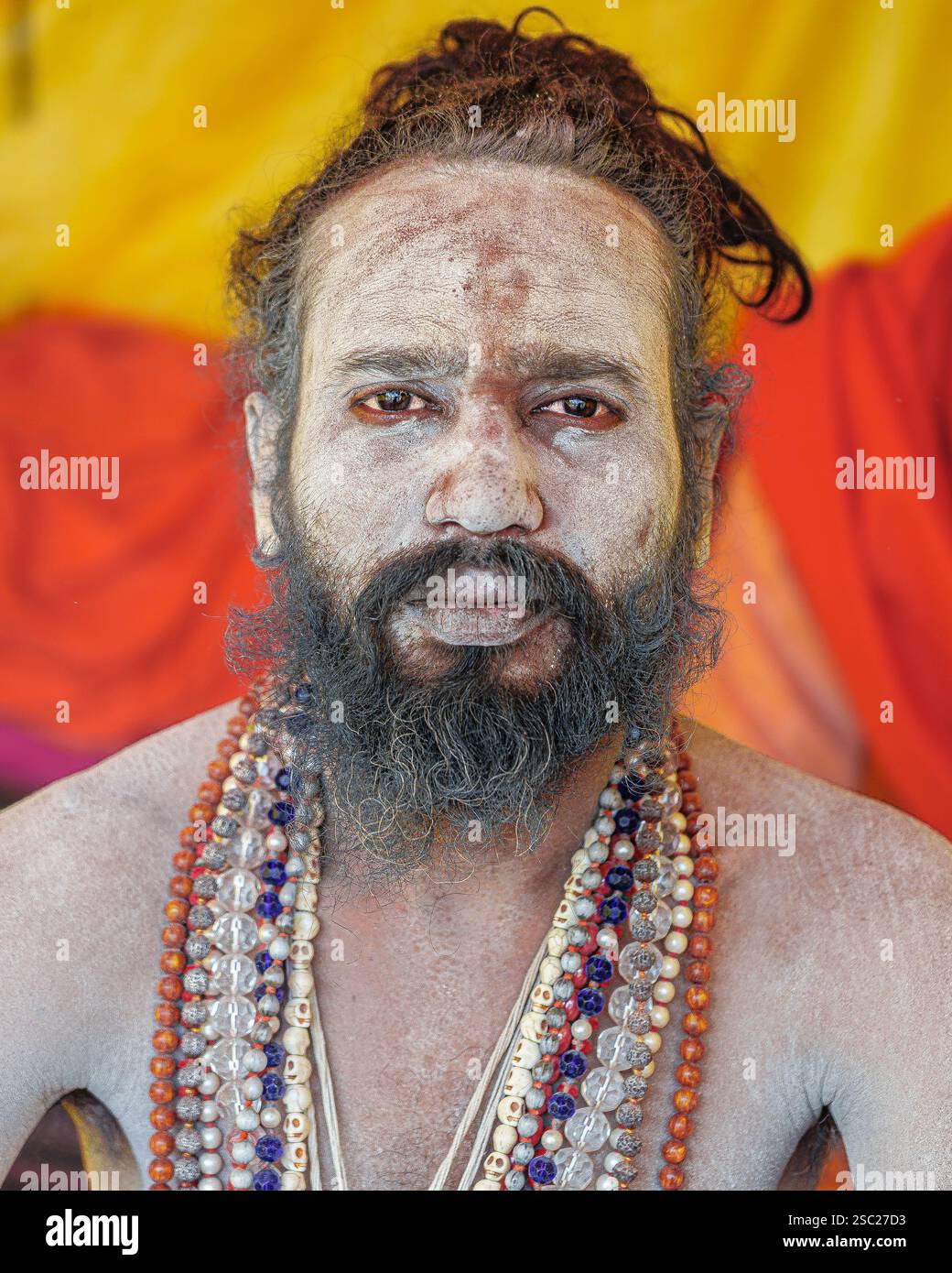 A Naga Sadhus face reflects tranquility and strength as he rests in his ...