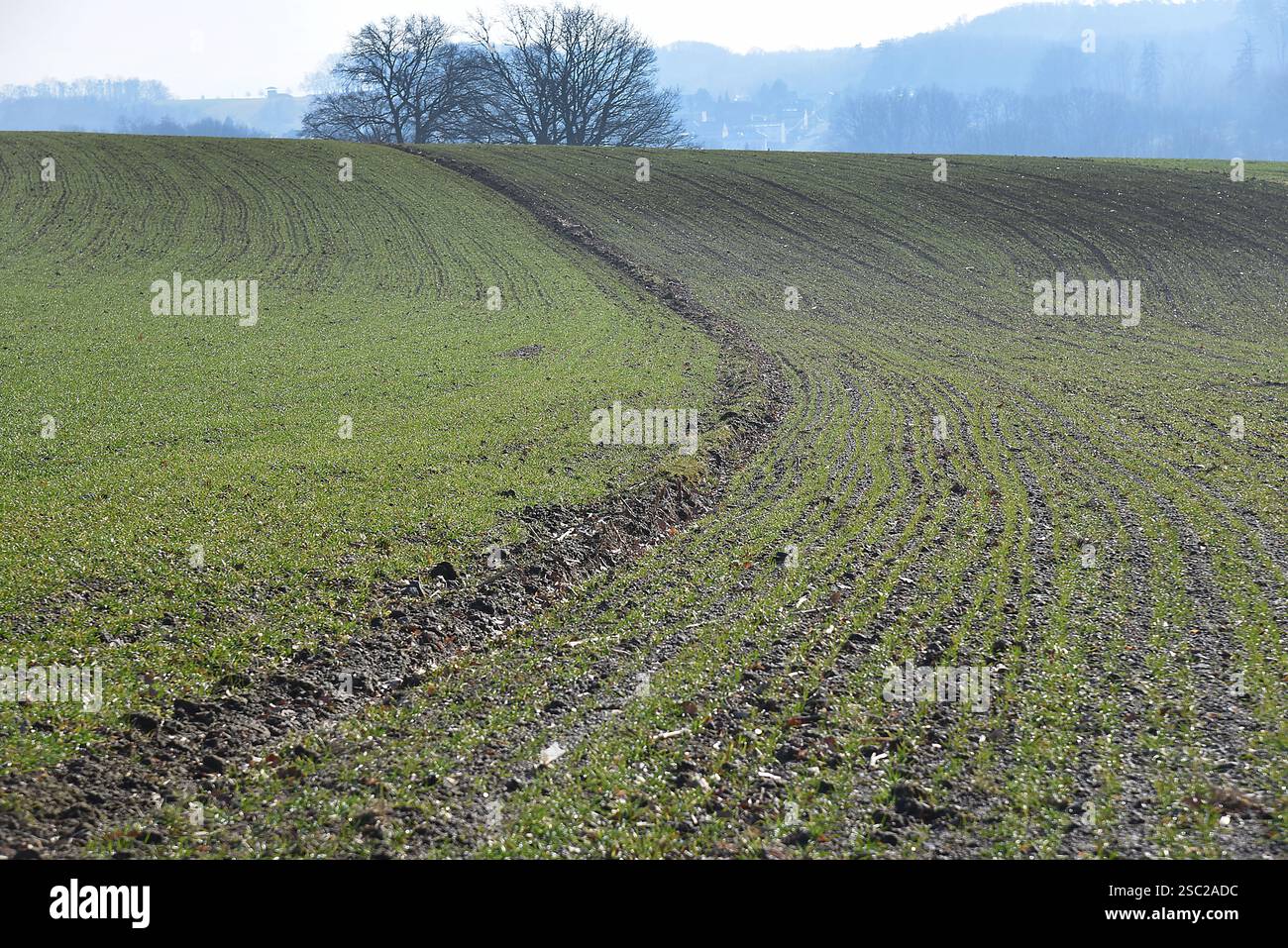 Early spring landscape in Hat, Opava Region, Czech Republic, February 4 ...