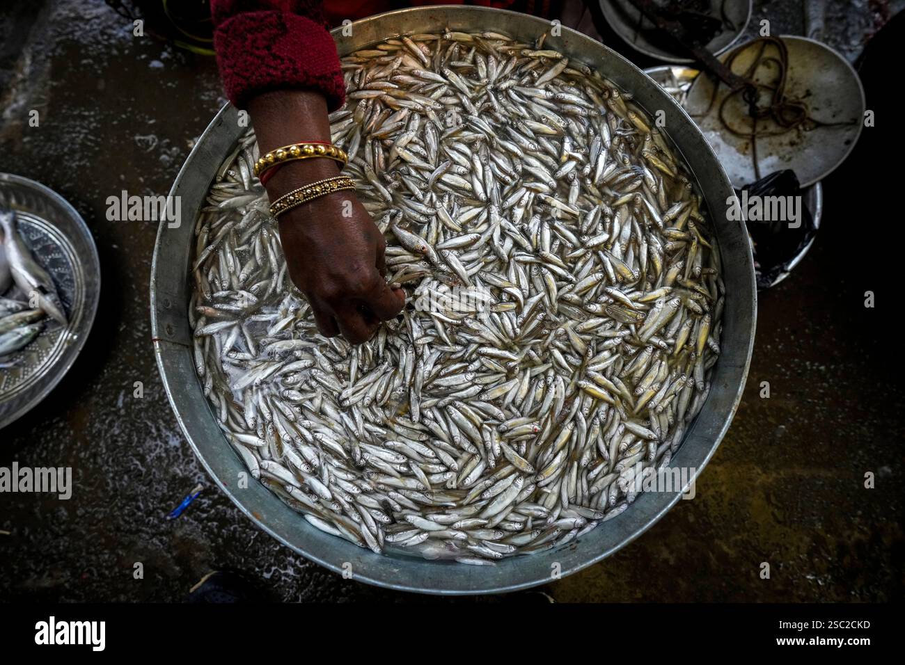 A woman sells fish at a fish market in Guwahati, India, Wednesday, Feb. 5, 2025. (AP Photo ...
