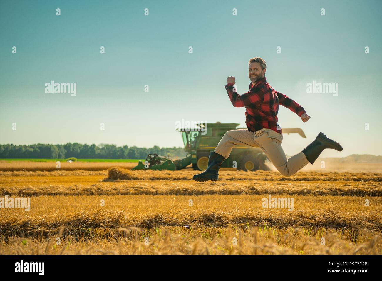 Harvest success. Excited farmer jumping in the wheat field. Good ...