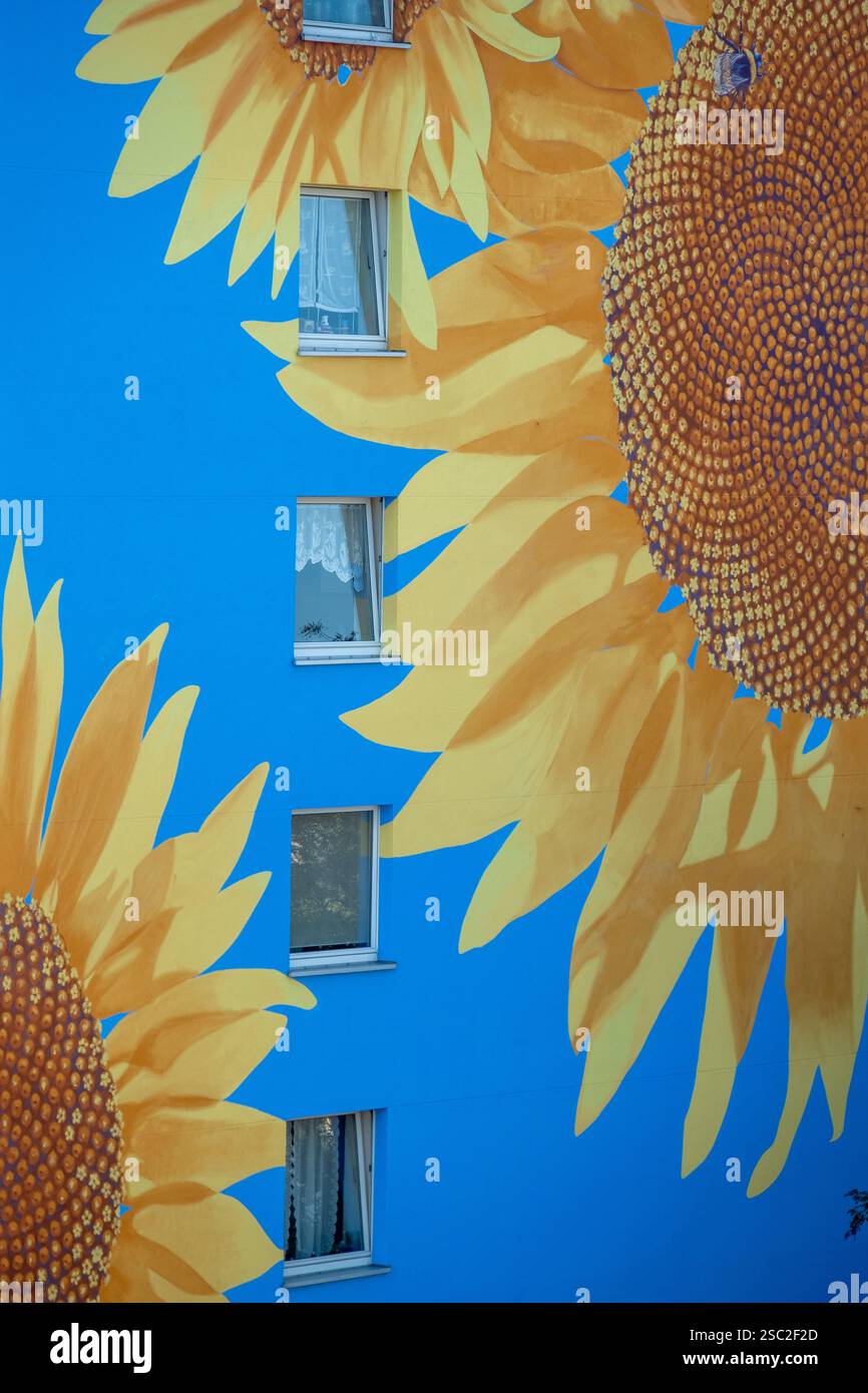Vibrant mural of sunflowers on a blue building facade highlights the ...