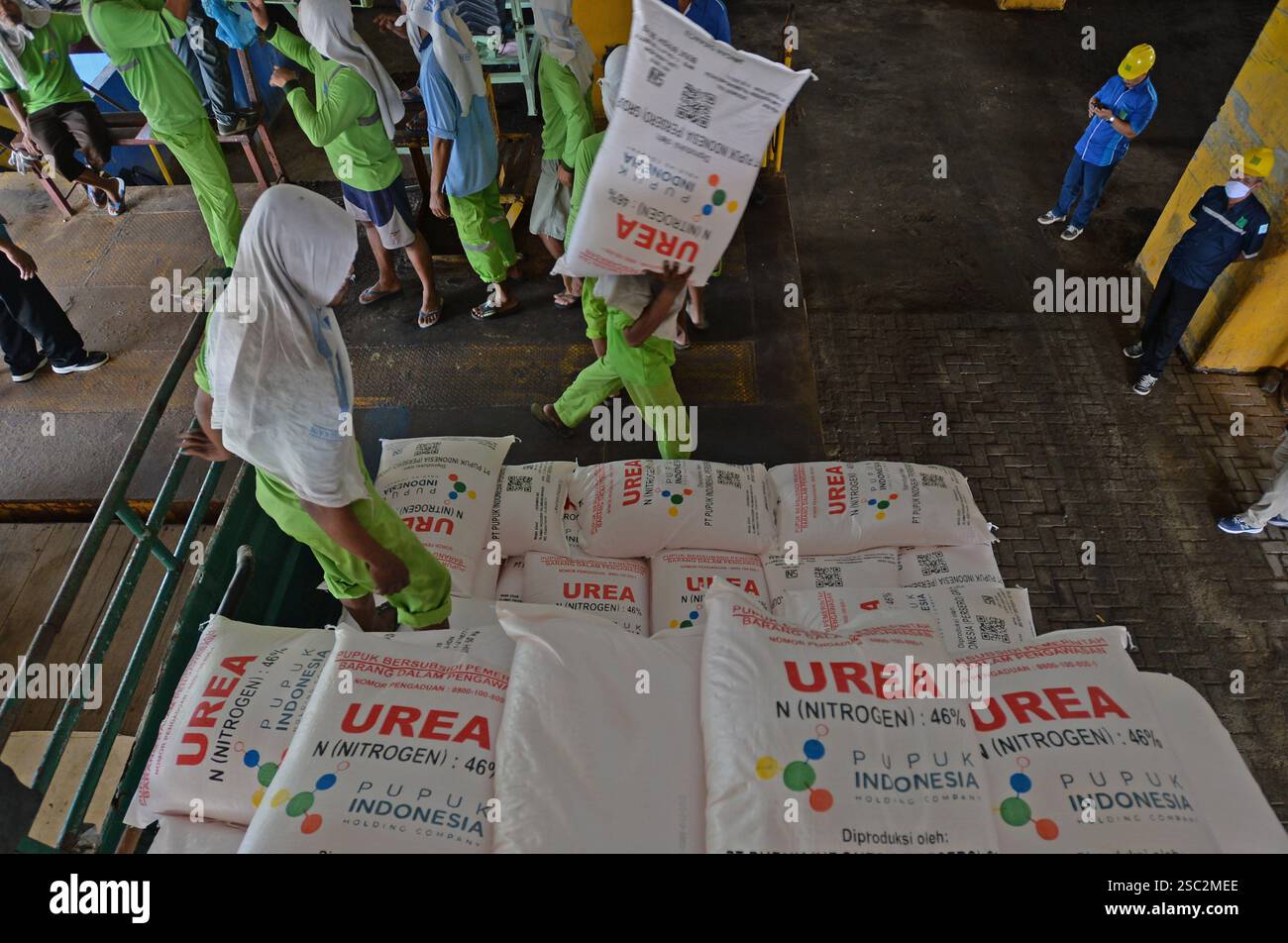 Semarang, Semarang, Indonesia. 4th Feb, 2025. An arrangement of bags ...