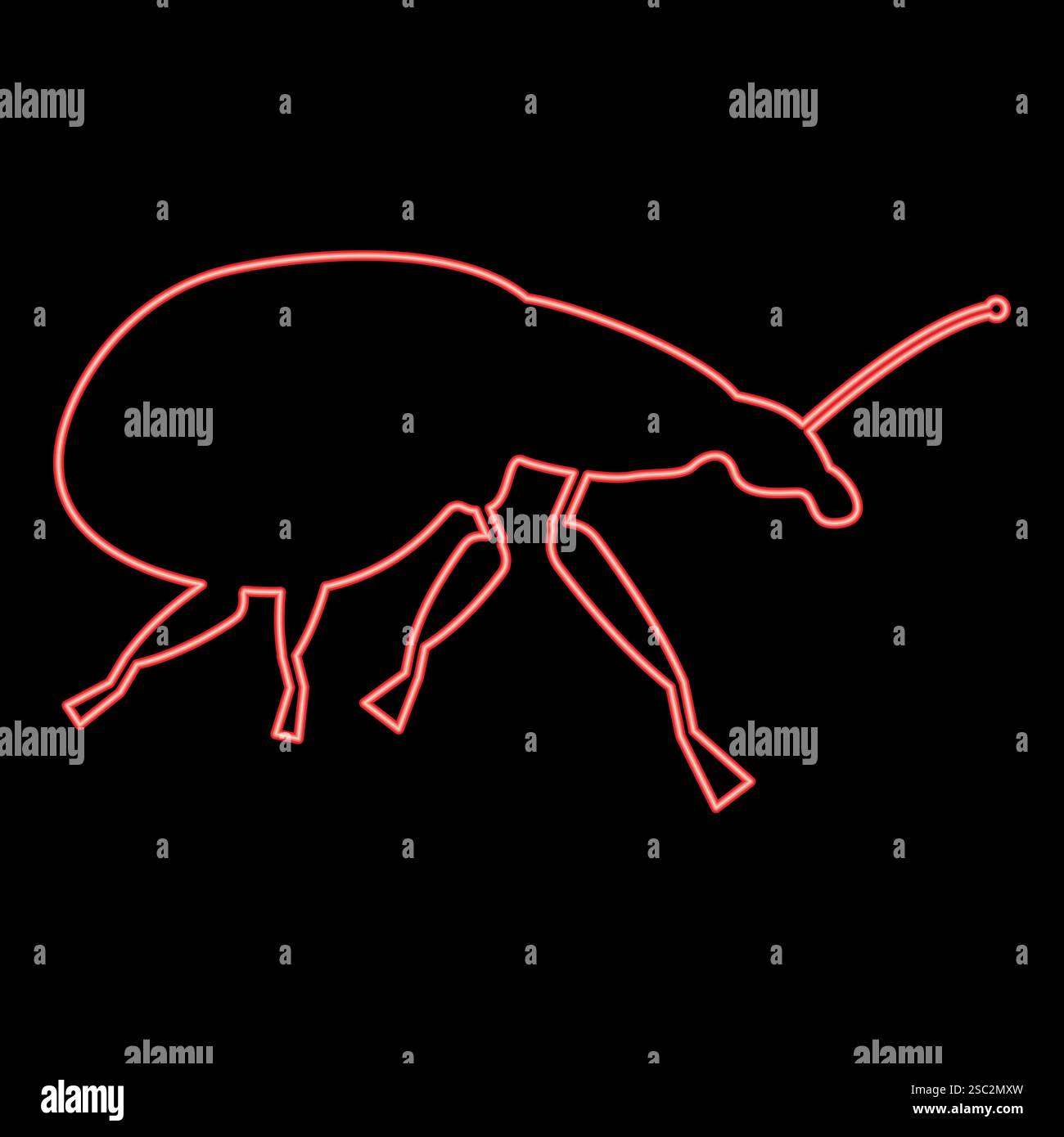 Neon weevil insect pest red color vector illustration image flat style ...