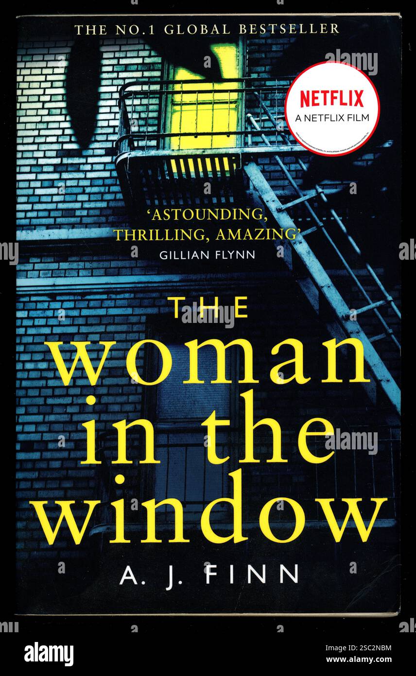 Used paperback book front cover The Woman in the Window, by America ...