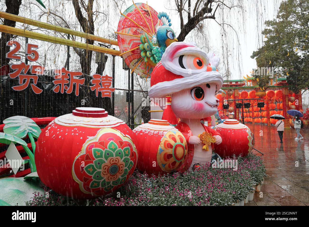Snow scenery in Kunming City, southwest China's Yunnan Province, 27 ...