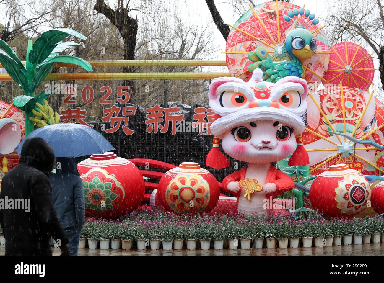 Snow scenery in Kunming City, southwest China's Yunnan Province, 27 ...