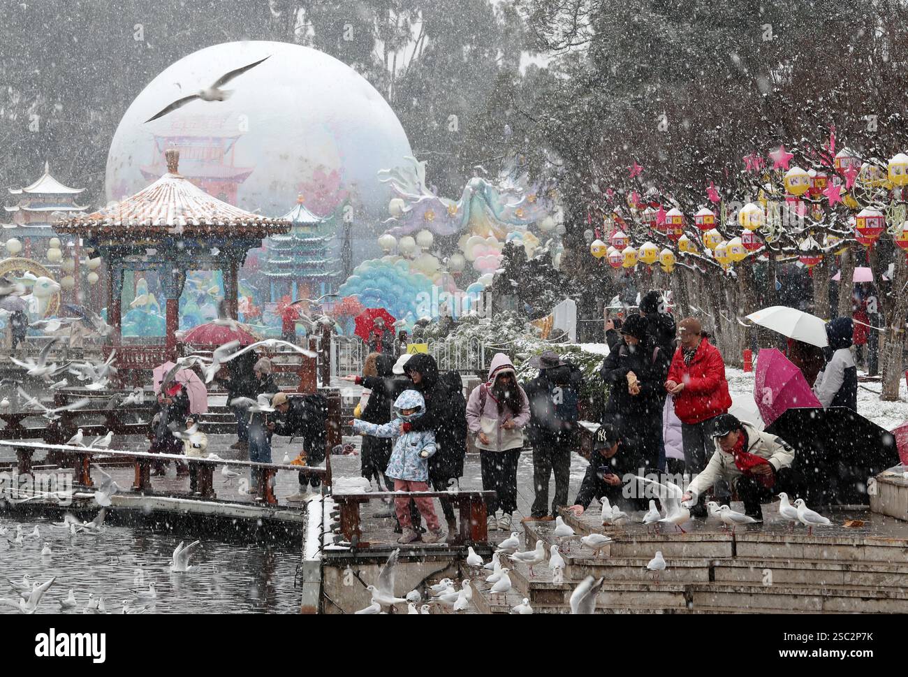 Snow scenery in Kunming City, southwest China's Yunnan Province, 27 ...