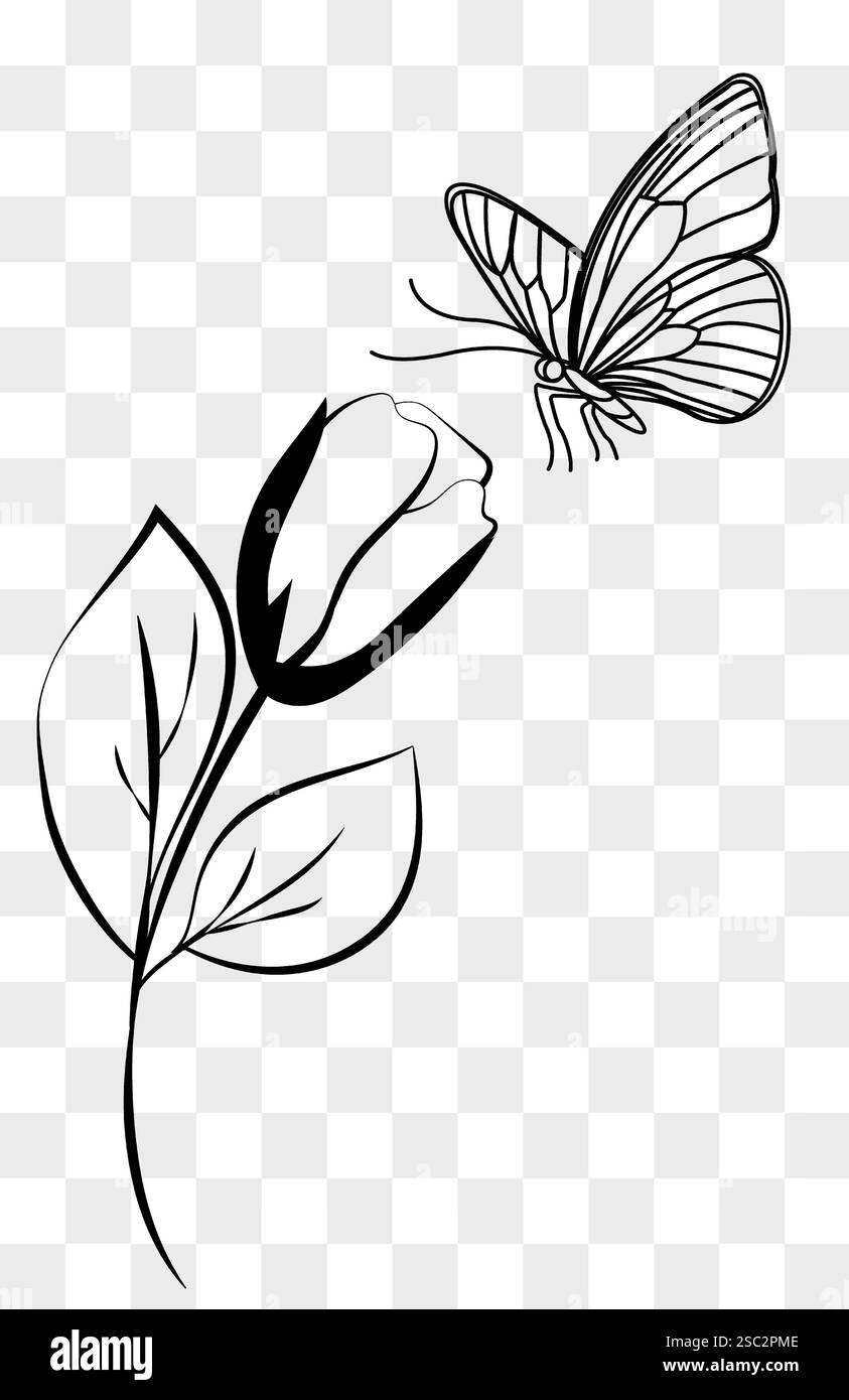 Butterfly hovering over a blooming rose in a spring or summer garden ...