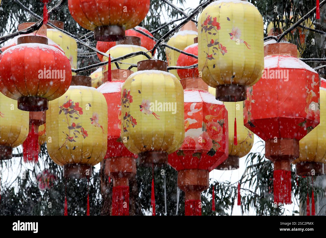 Snow scenery in Kunming City, southwest China's Yunnan Province, 27 ...