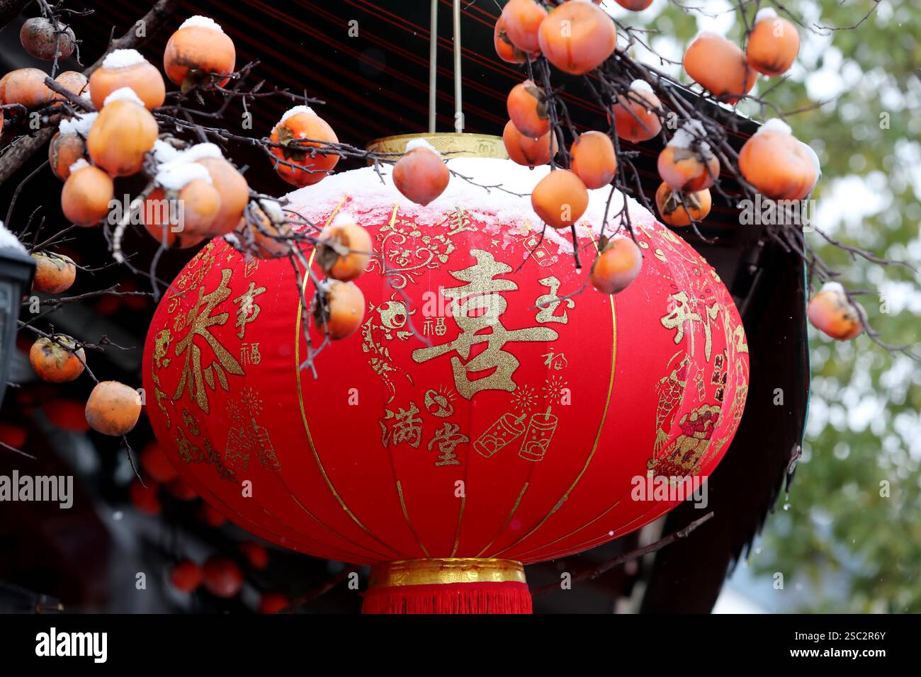 Snow scenery in Kunming City, southwest China's Yunnan Province, 27 ...