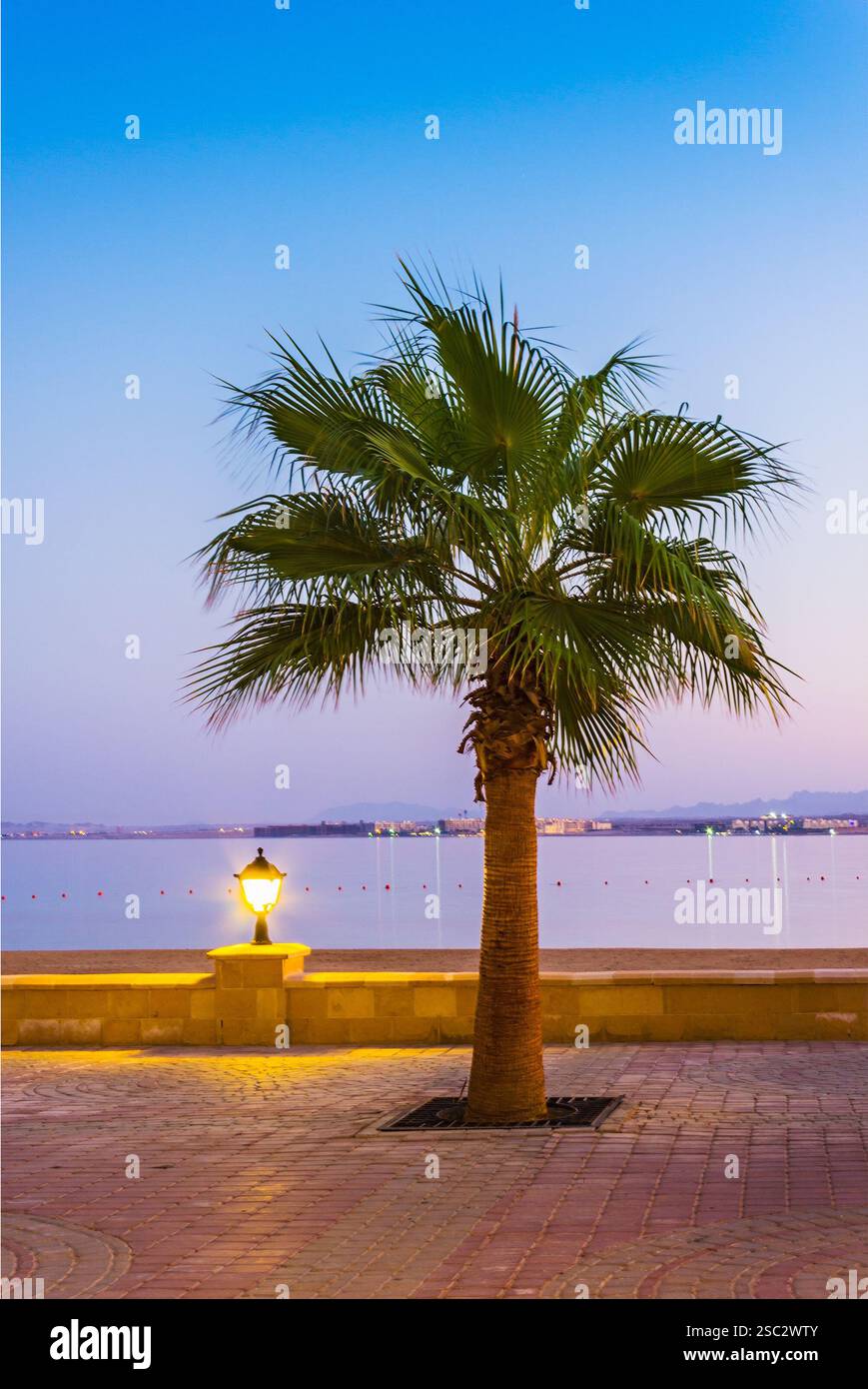 Promenade with palm trees on the shore of the Red Sea, Egypt, Hurghada ...