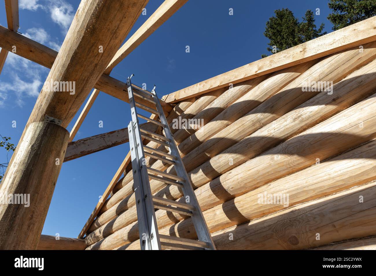 Metal ladder and wall made of uncolored natural pine tree logs are ...