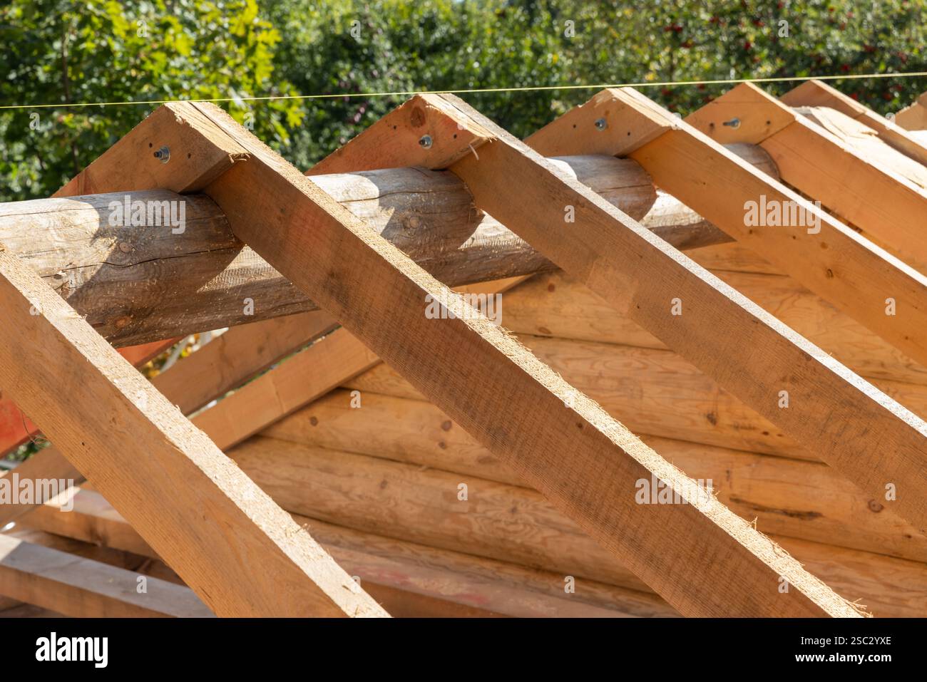 Log house roof structure is under construction. Wooden rafters ...