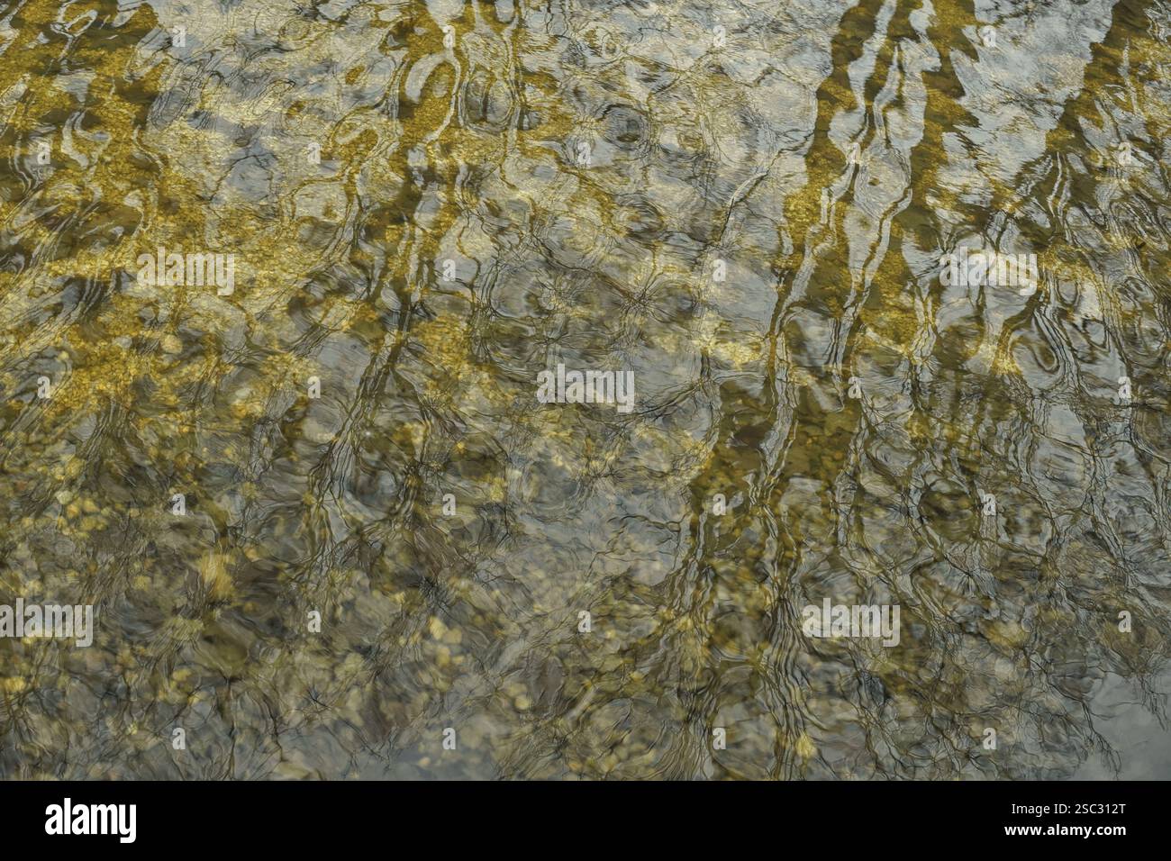 Rippled surface of water on an artificial pond Stock Photo - Alamy
