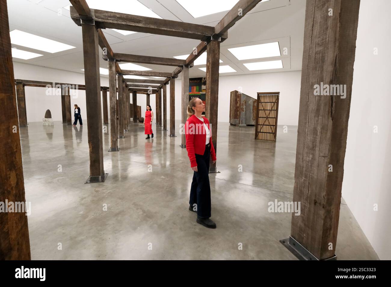 White Cube, London, UK. 5th Feb 2025. Press preview: Theaster Gates ...