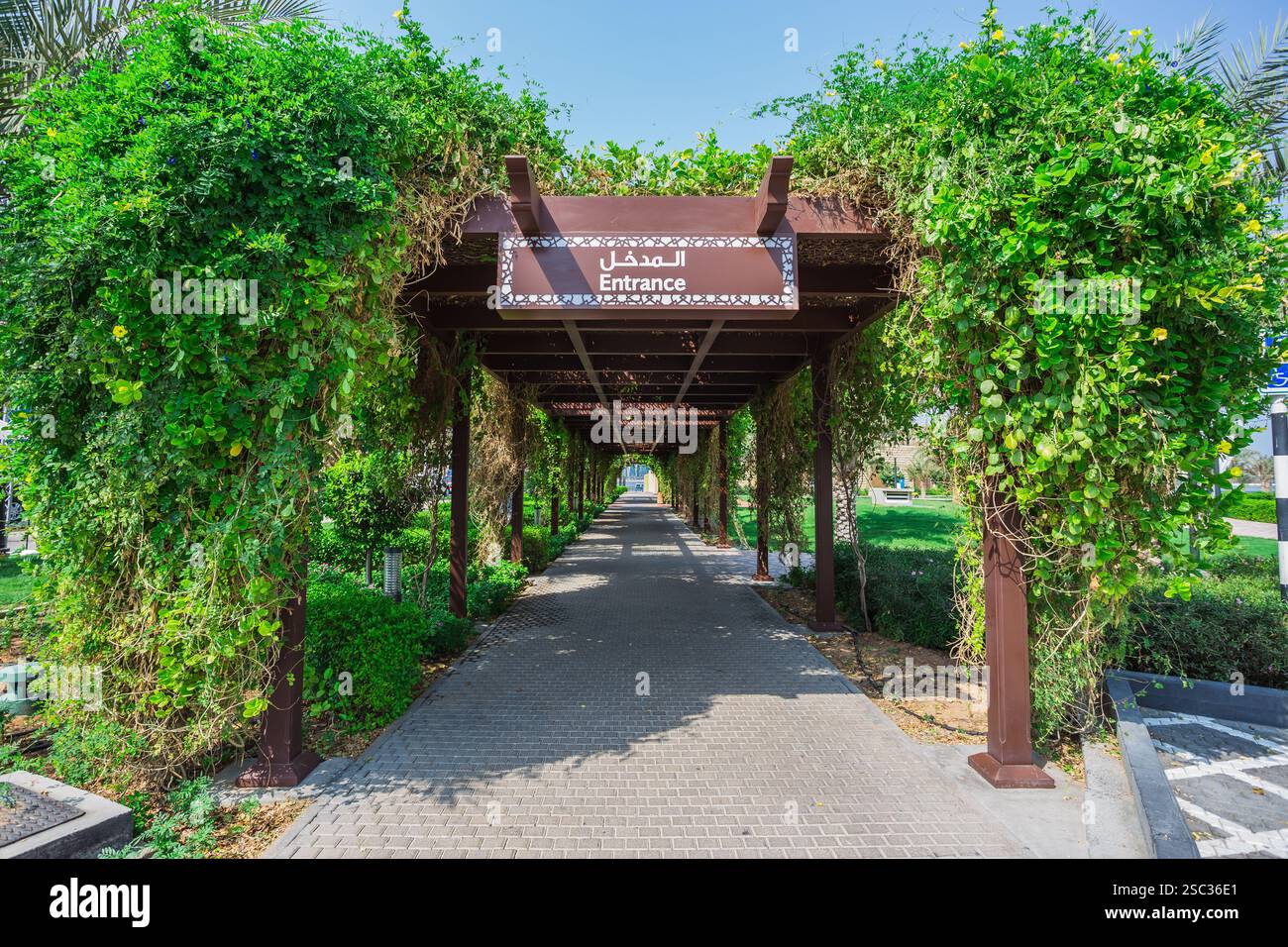 the tunnel of greenery in Dubai Stock Photo - Alamy