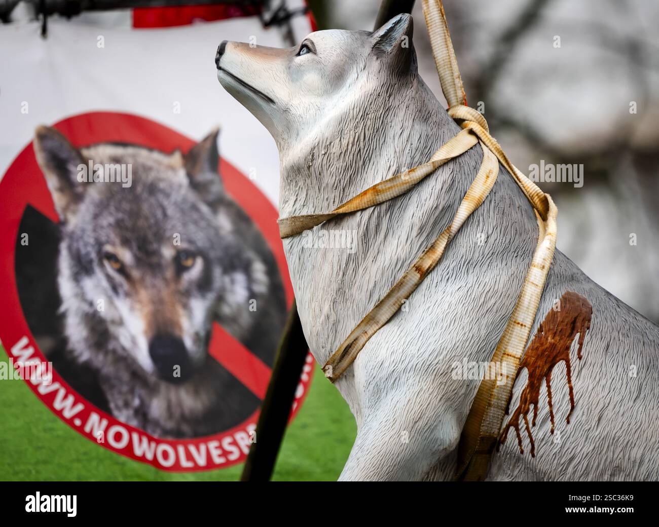 Wolf of fake hi-res stock photography and images - Alamy