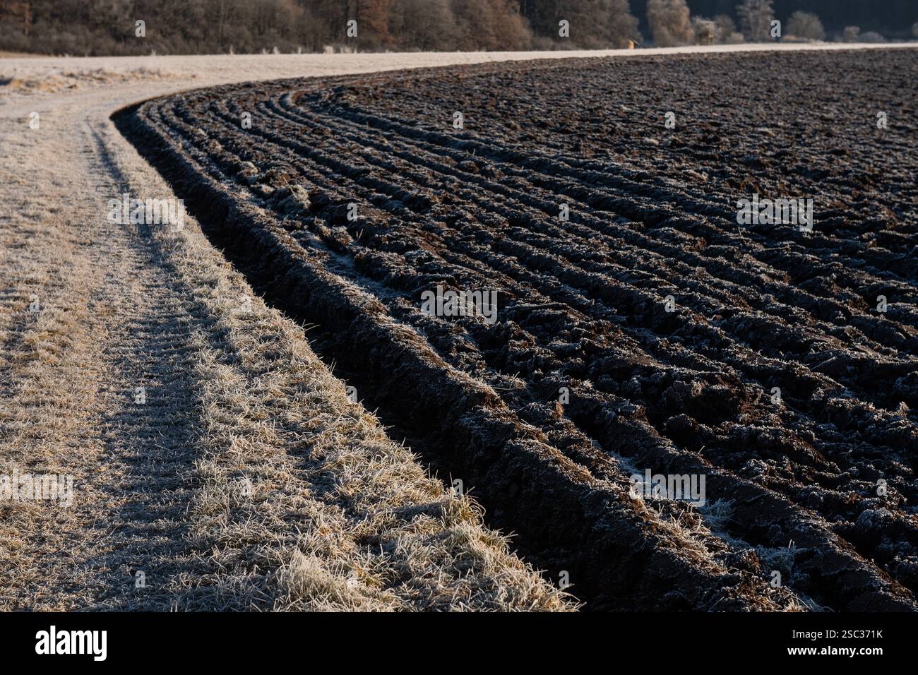 Rottweil, Germany. 05th Feb, 2025. A plowed field is covered in ...