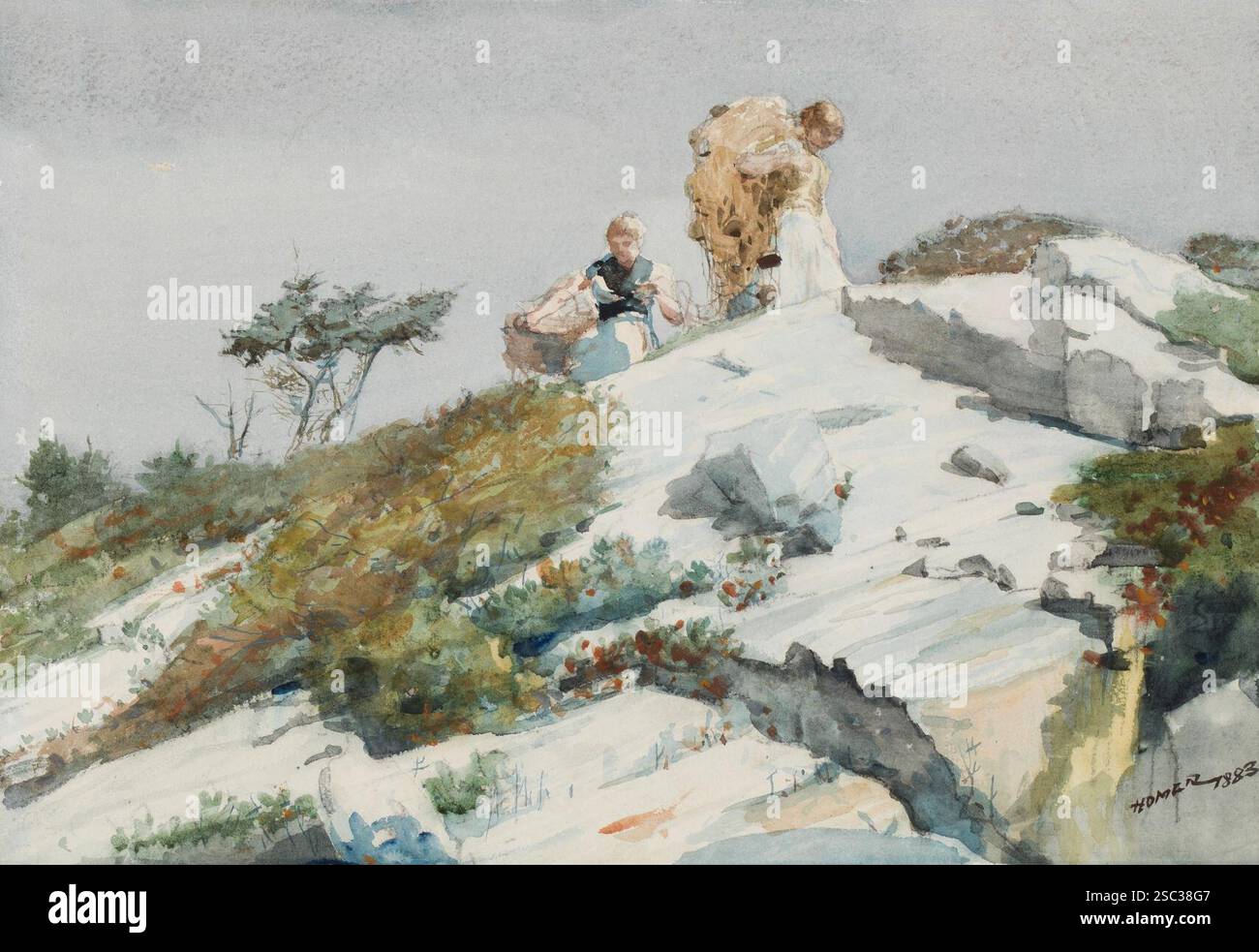 Winslow Homer - Rough Work (1883 Stock Photo - Alamy