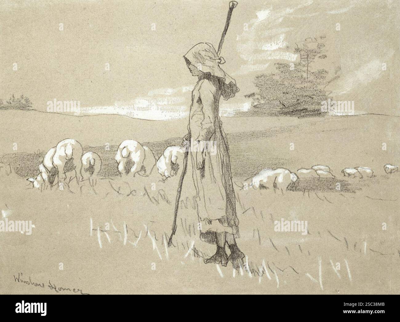Winslow Homer - Standing Shepherdess with her Flock (1878 Stock Photo - Alamy