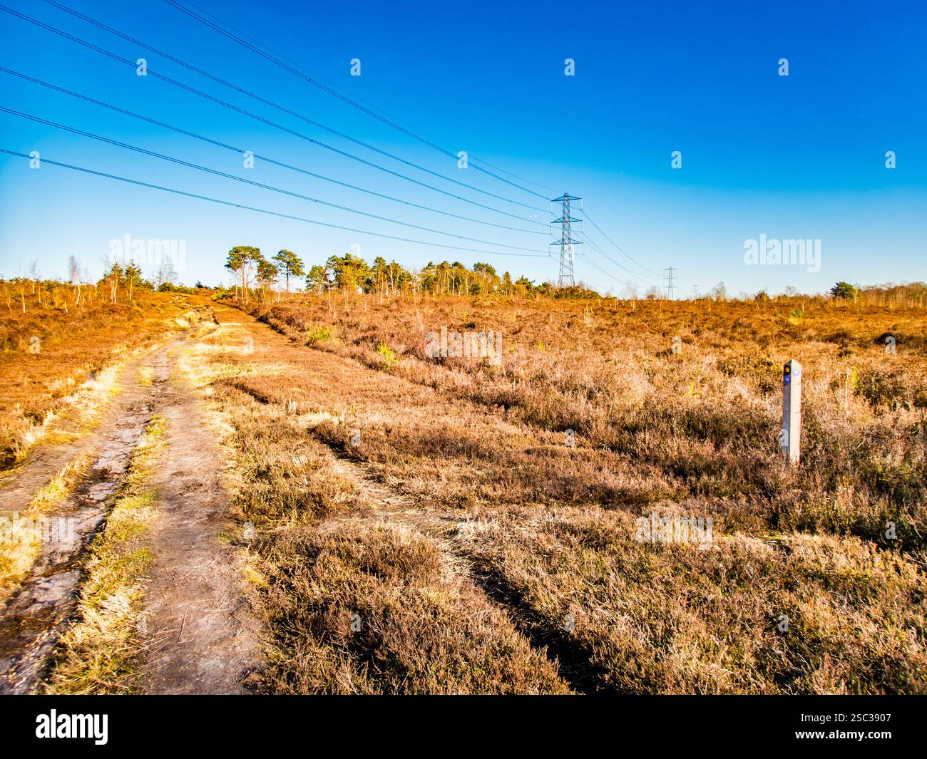 Chobham Common Surry England. Winter with heather and power lines Stock ...