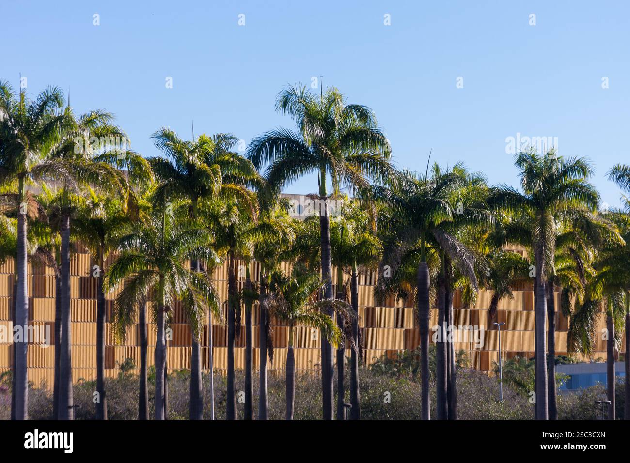 Modernfacadewithtrees hi-res stock photography and images - Alamy