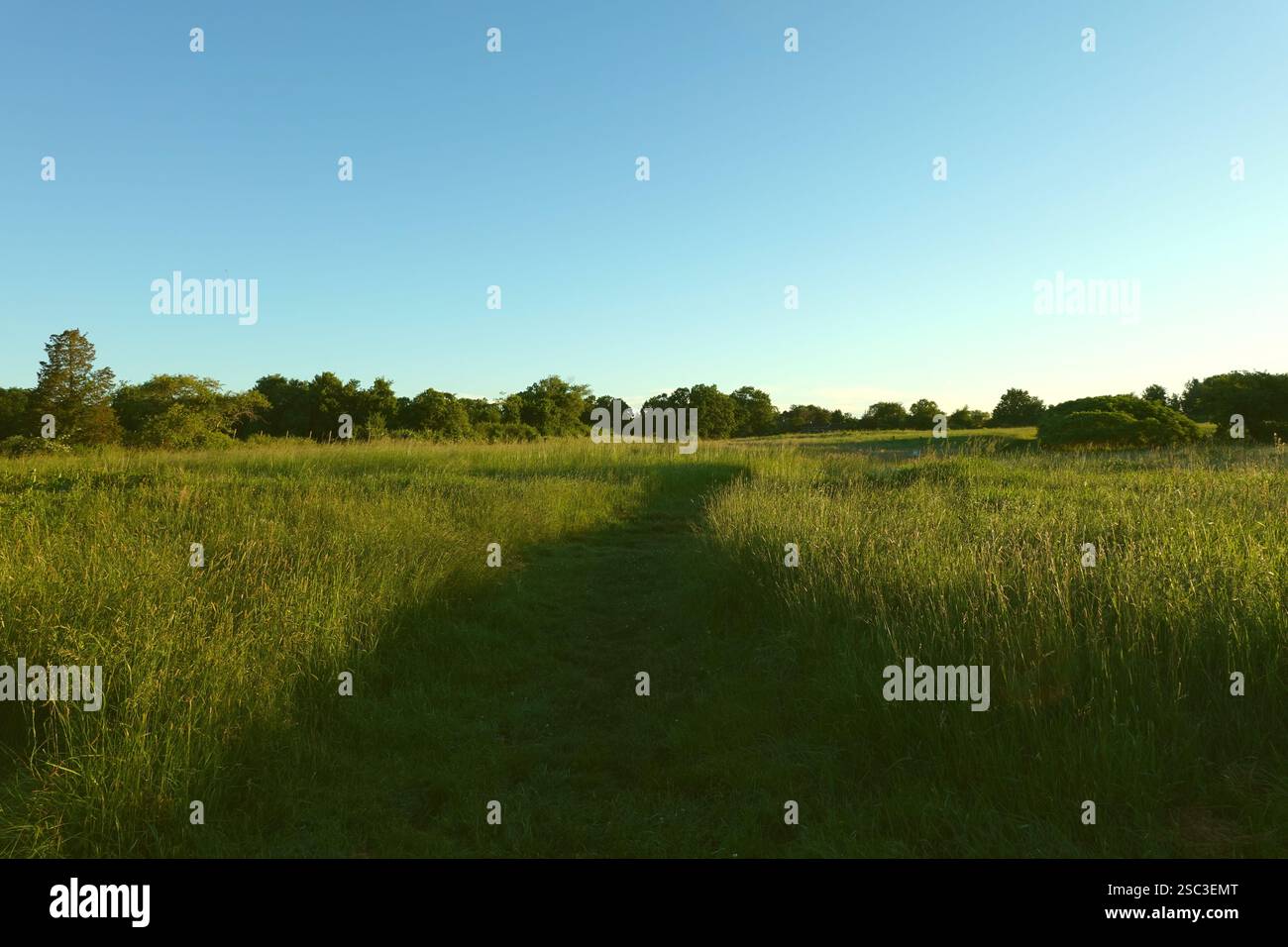 Castle Neck River Reservation in Summer Stock Photo - Alamy