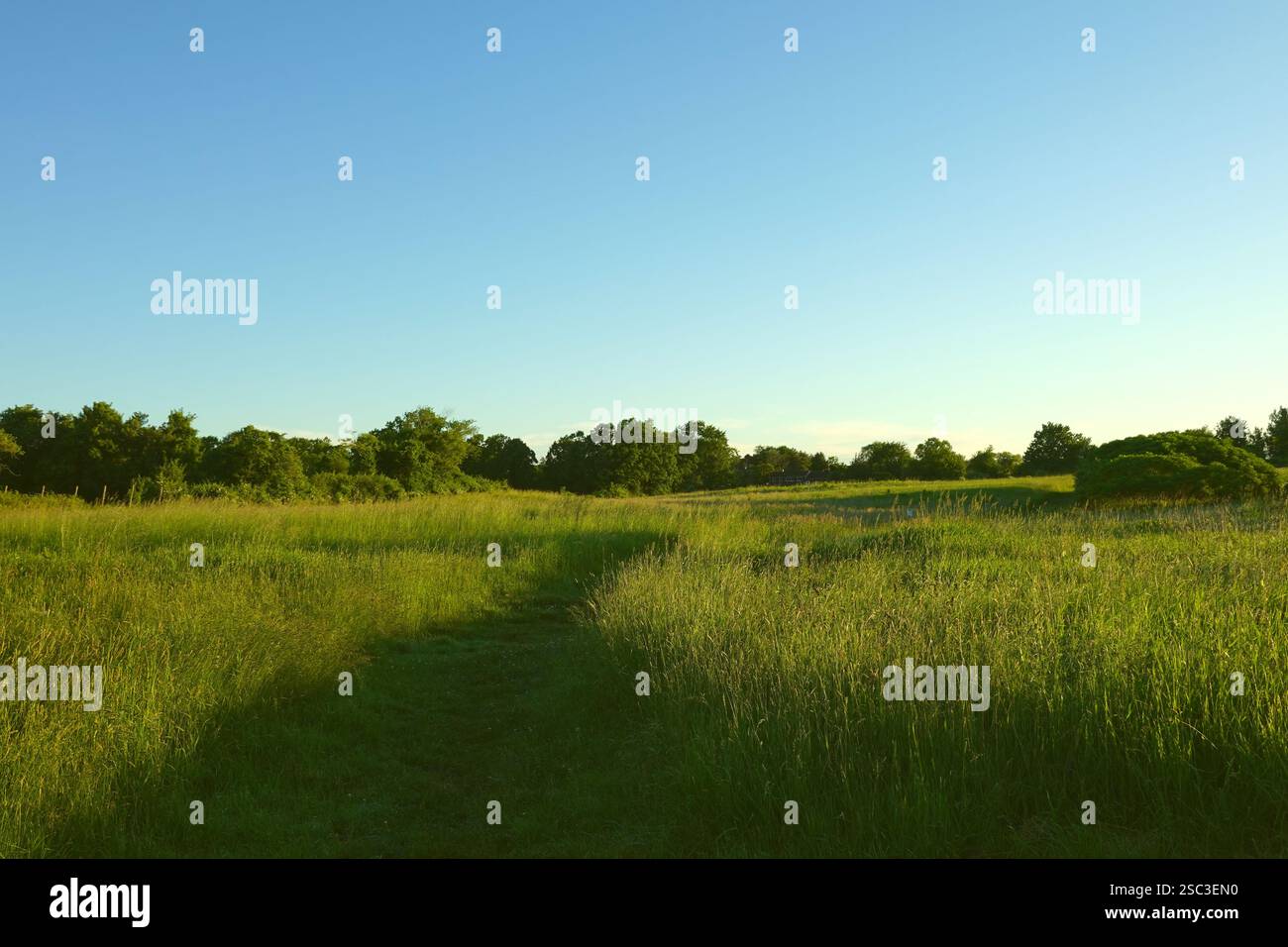 Castle Neck River Reservation in Summer Stock Photo - Alamy