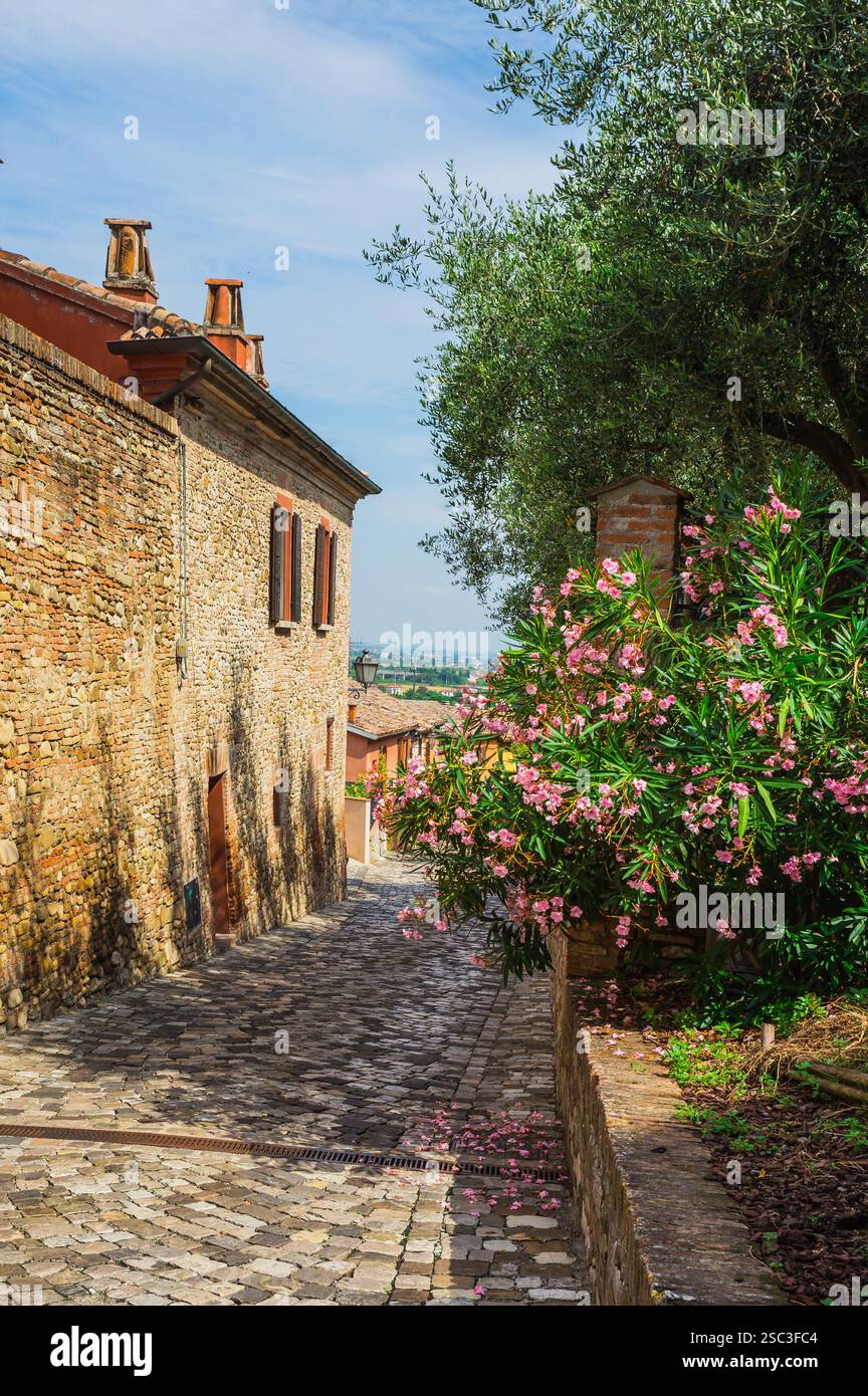 typical Italian street in a small provincial town of Tuscan, Italy ...